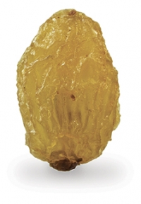 Australian sultanas – Australian Premium Dried Fruits